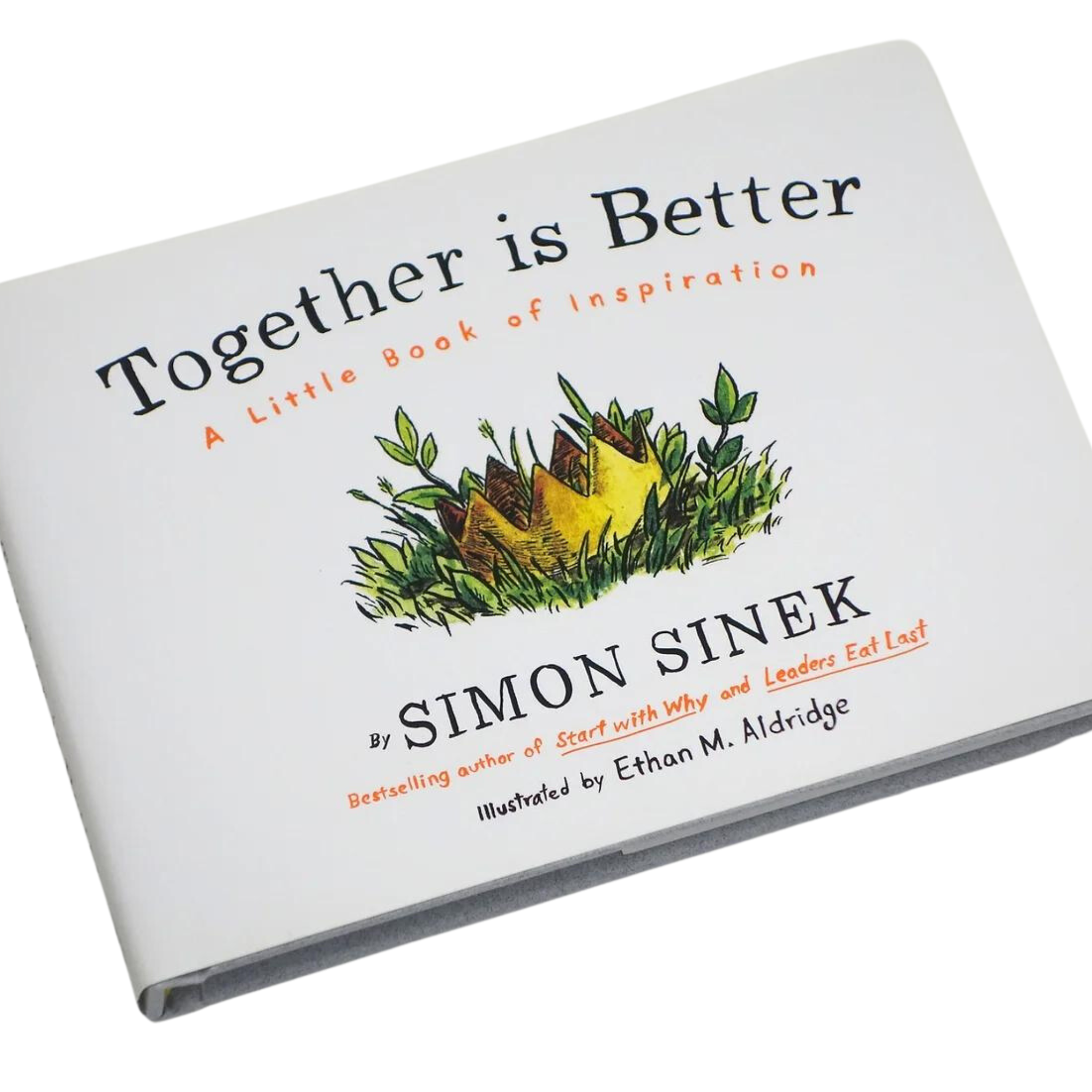 Together is Better by Simon Sinek – Veterinary Survival Box